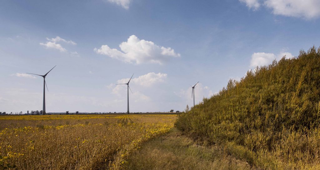 photo_headers_energy_5-crop - Energy